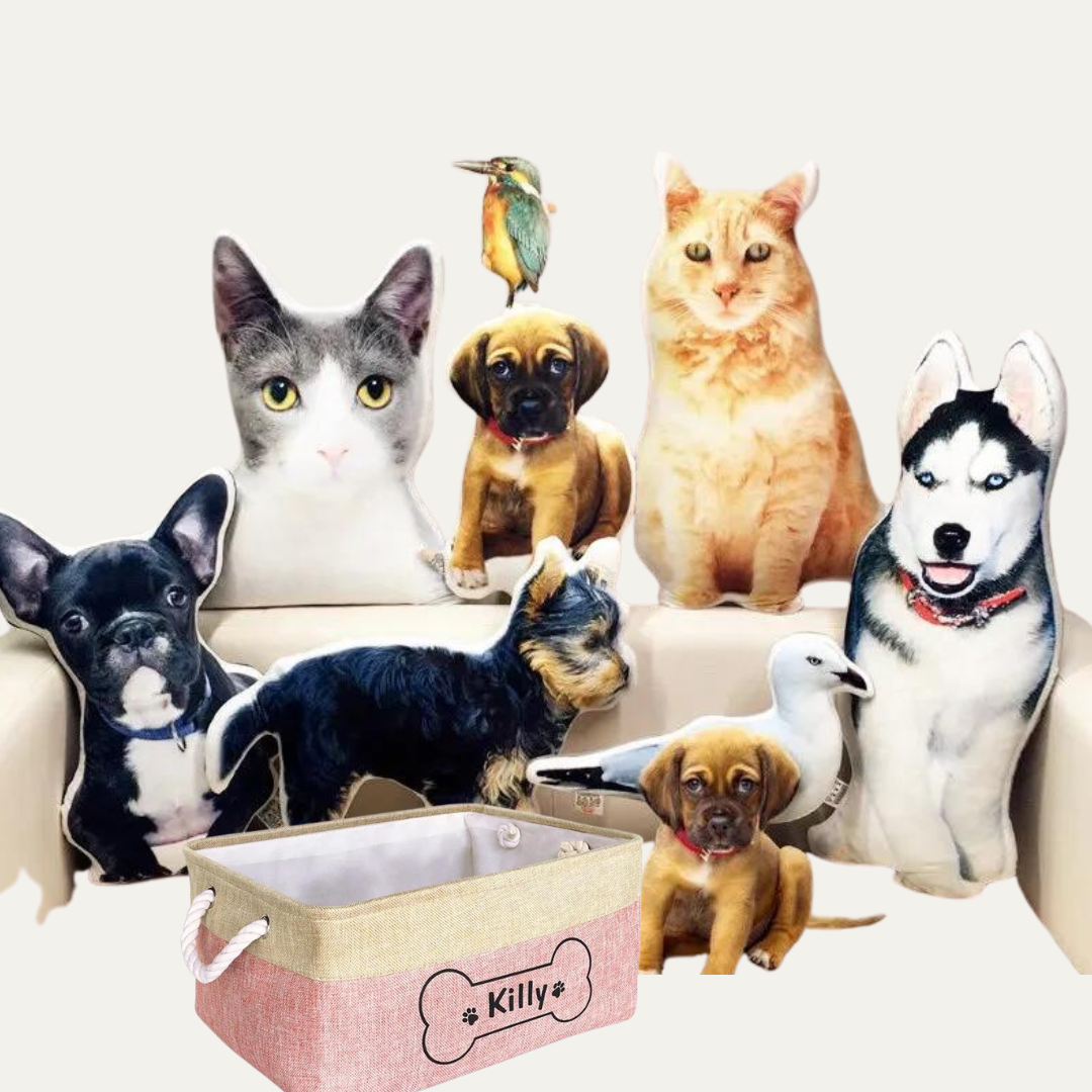 Solutions For Your Pets