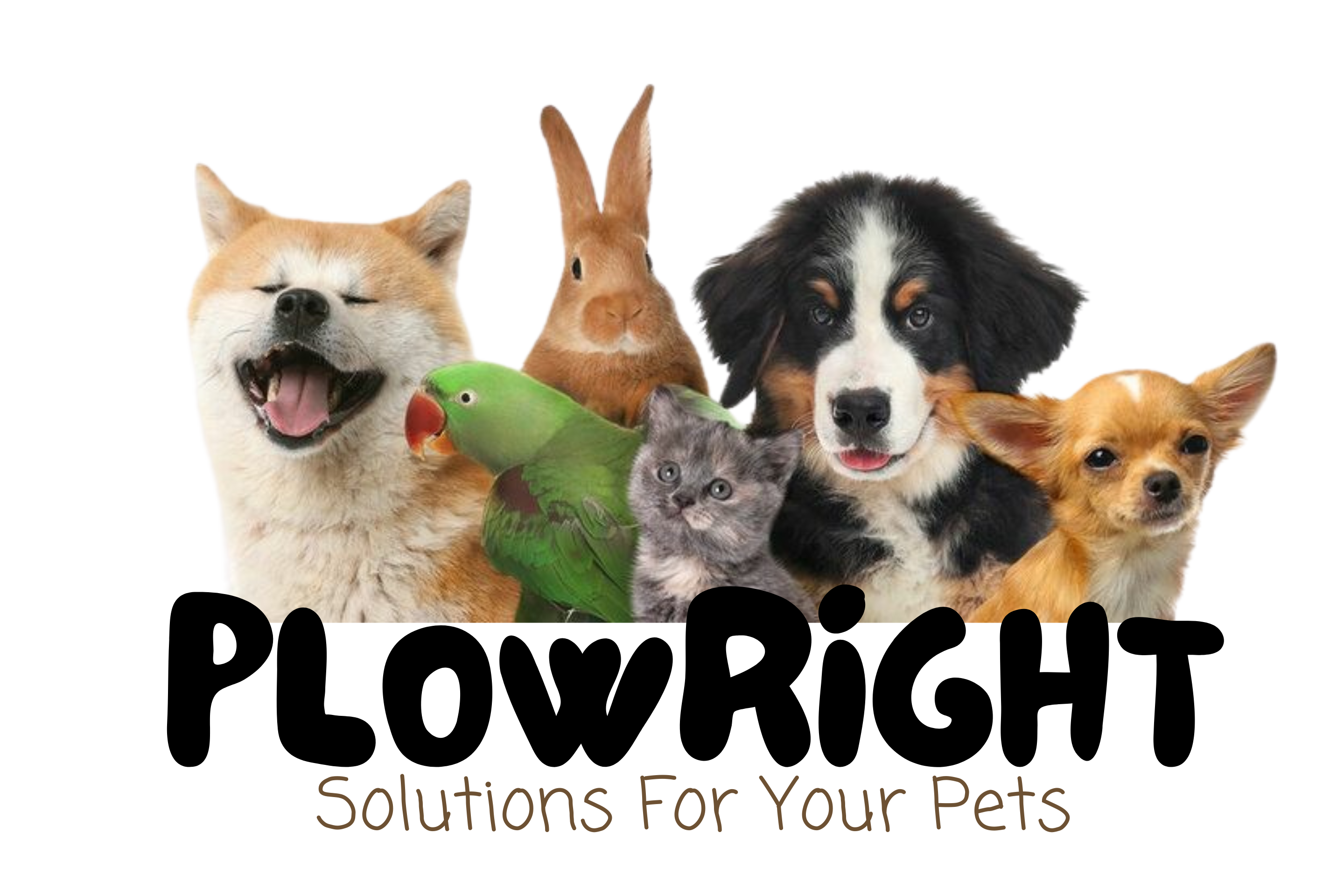 About Us | Solutions For Your Pets - Quality Pet Care Products & Expert ...